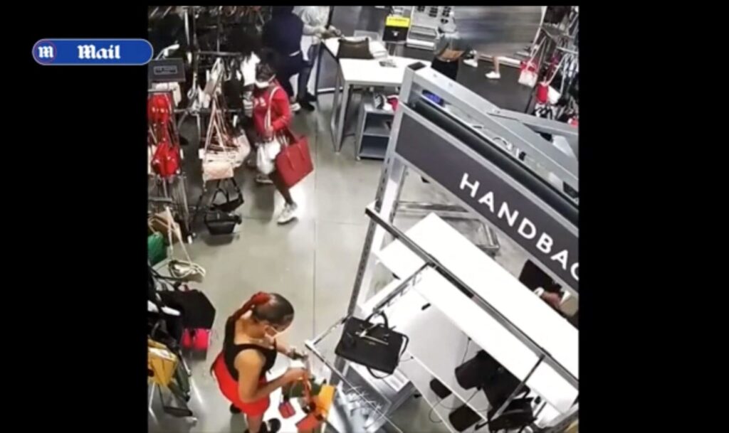 VIDEOS: Determined Mobs of Thieves Ransack Upscale Stores in Southern ...